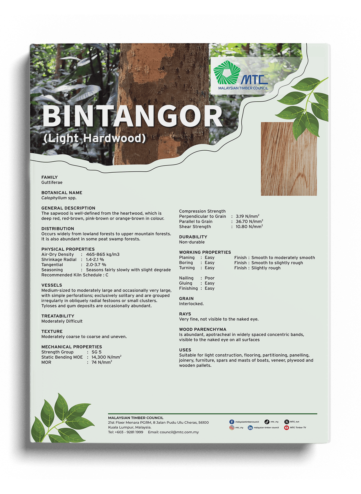 Brochures - Malaysian Timber Council
